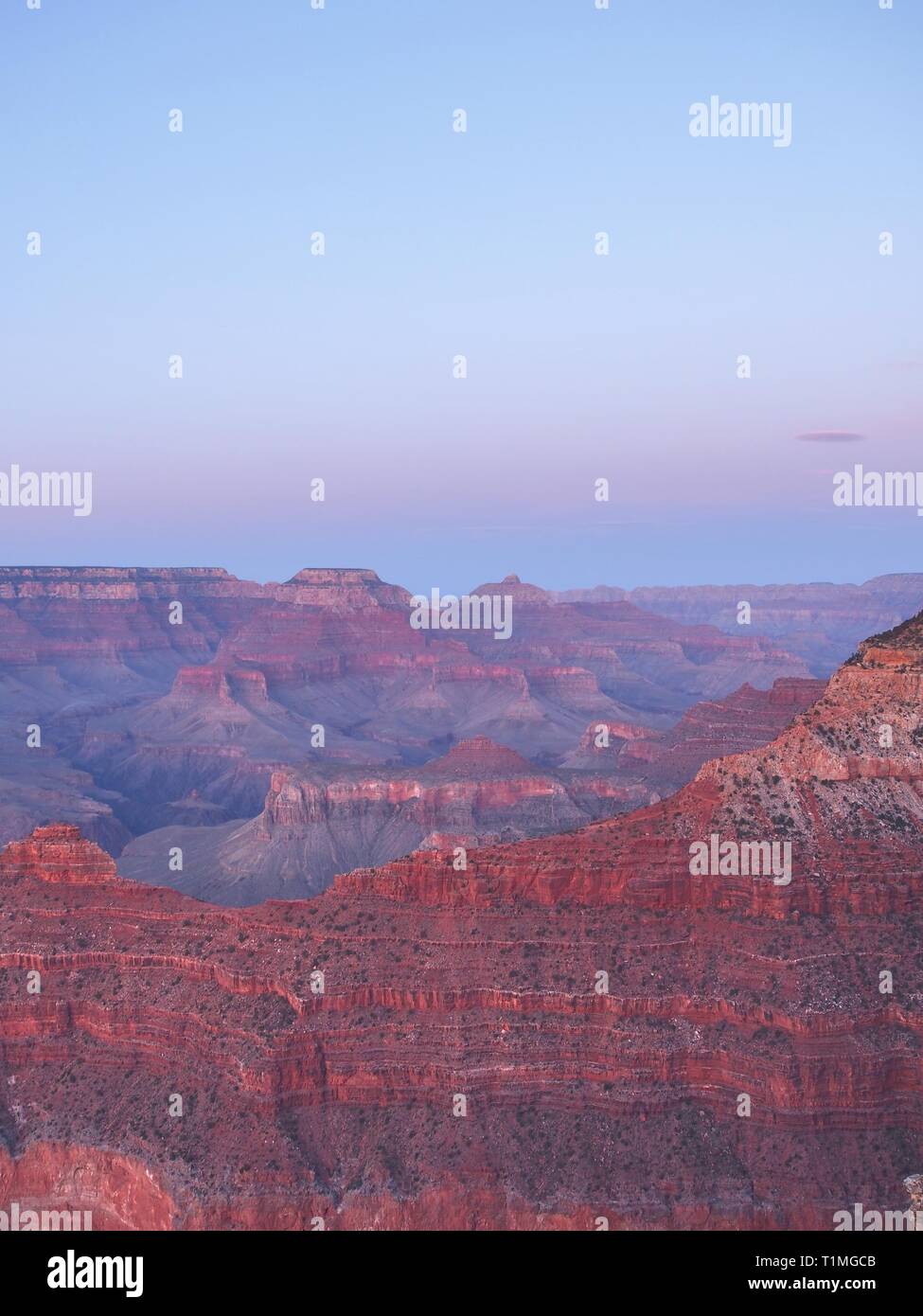 The Grand Canyon in Arizona, United States Stock Photo - Alamy