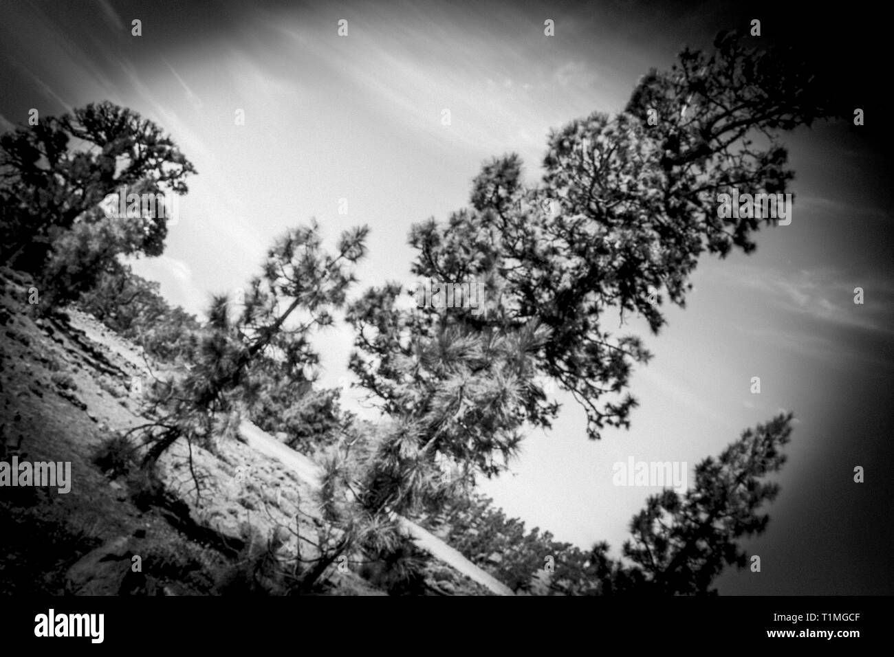 True to nature Black and White Stock Photos & Images - Alamy