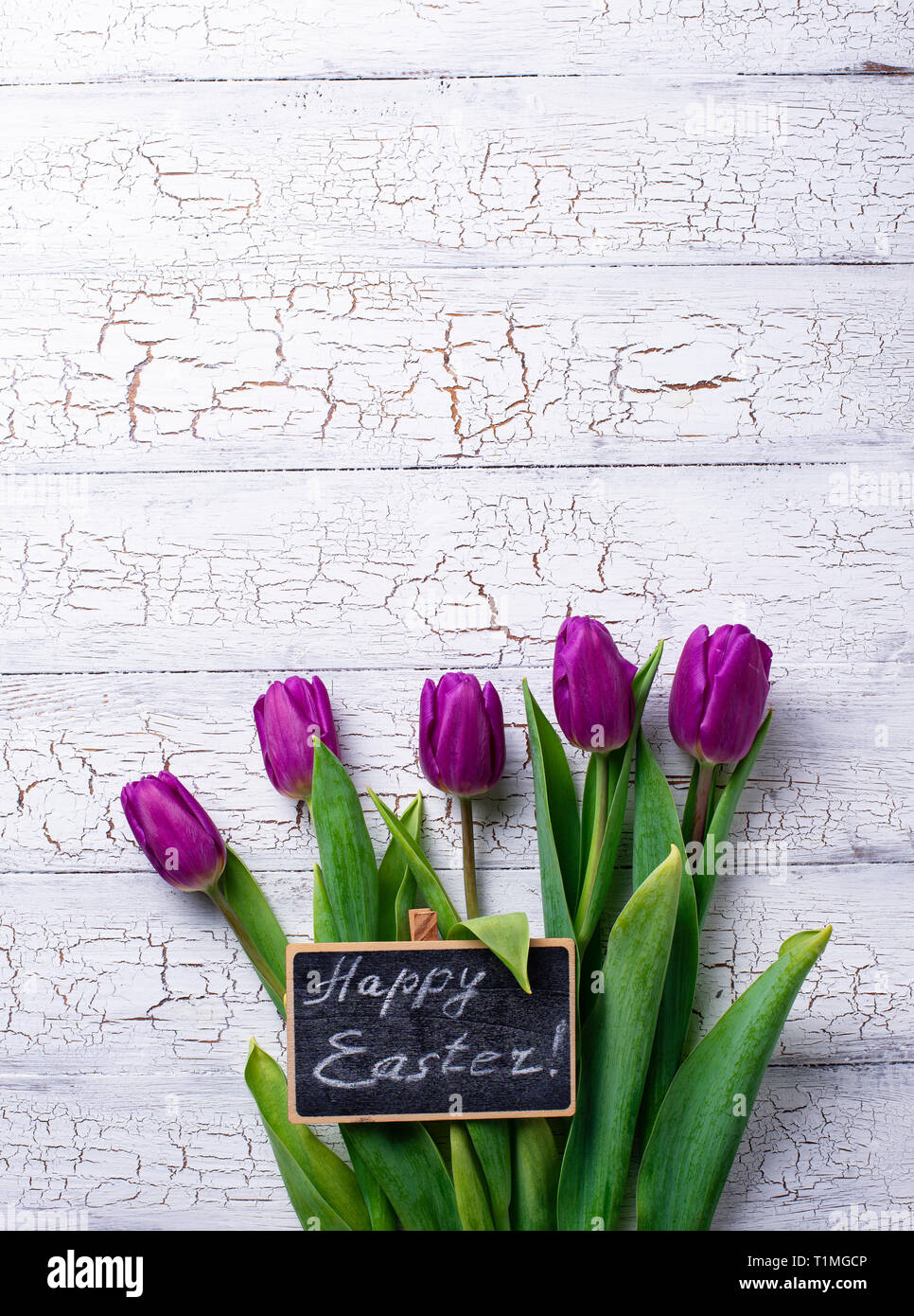 Easter background with tulip flowers Stock Photo - Alamy
