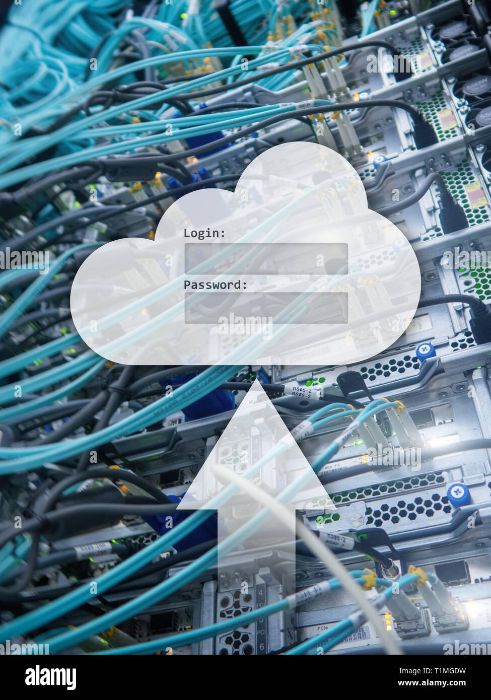 Cloud storage, data access, login and password request window on server ...