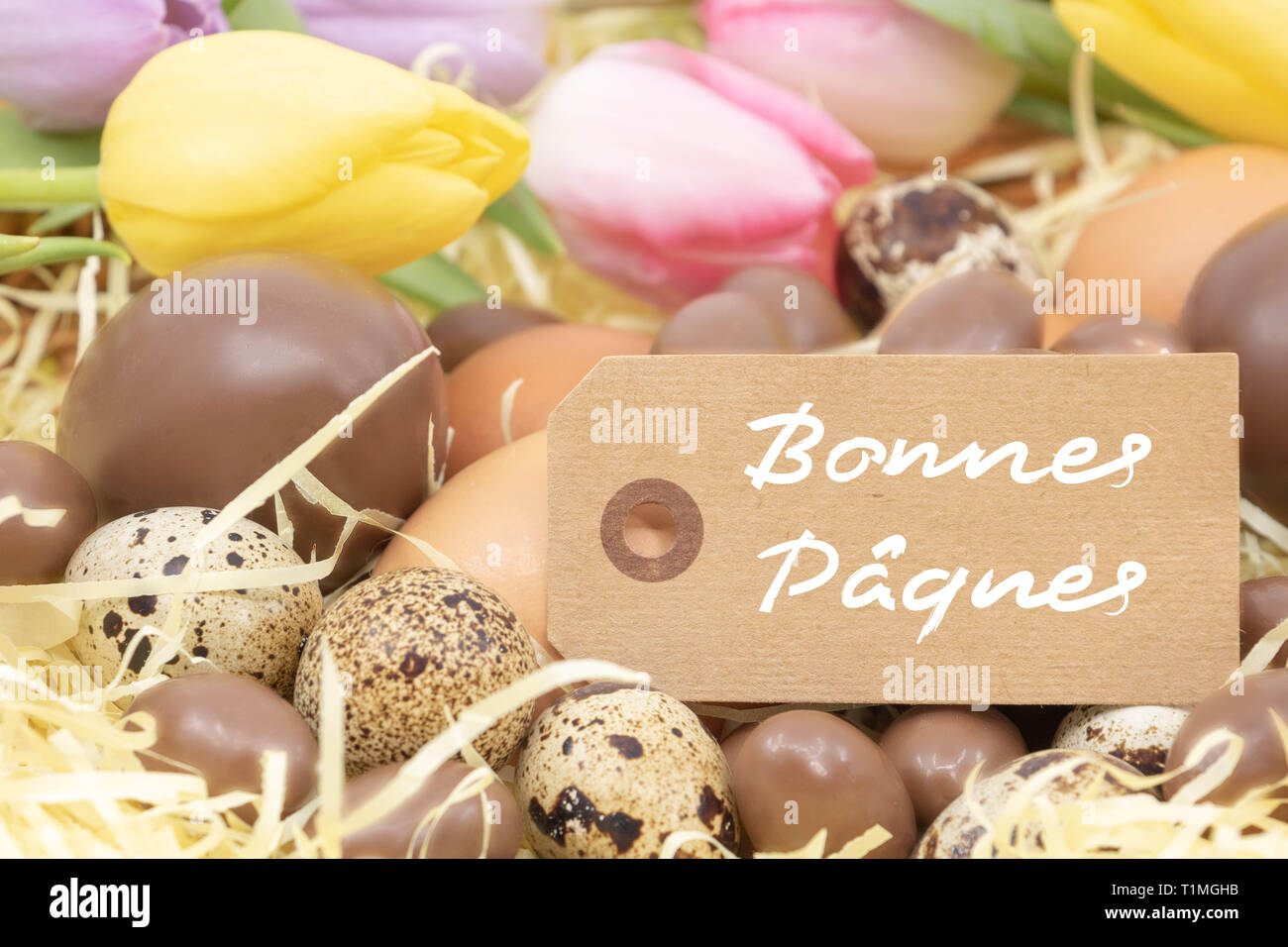 Different eggs in chocolate, chicken and quail and pastel tulips ...