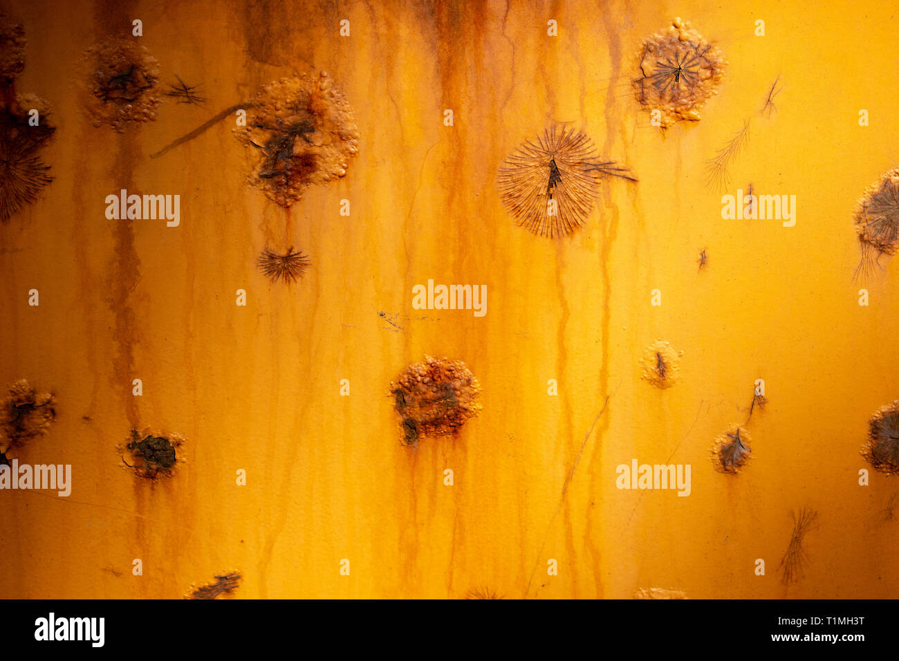 Yellow background rust container Stock Photo - Alamy