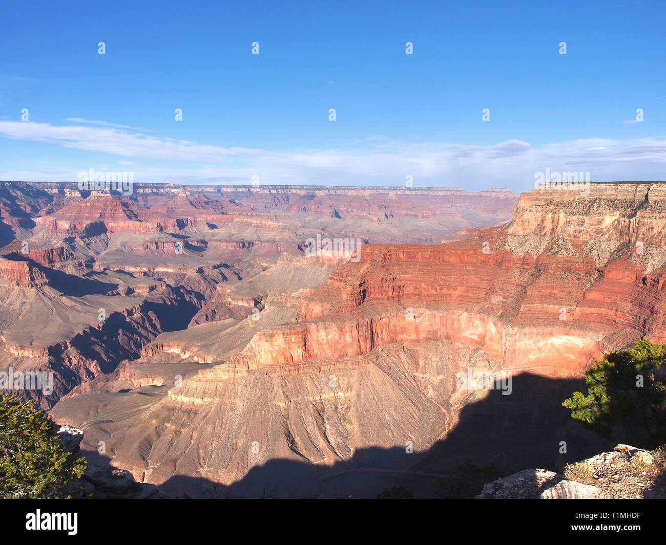The Grand Canyon in Arizona, United States Stock Photo - Alamy