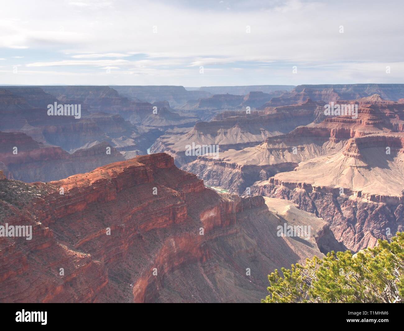 The Grand Canyon in Arizona, United States Stock Photo - Alamy