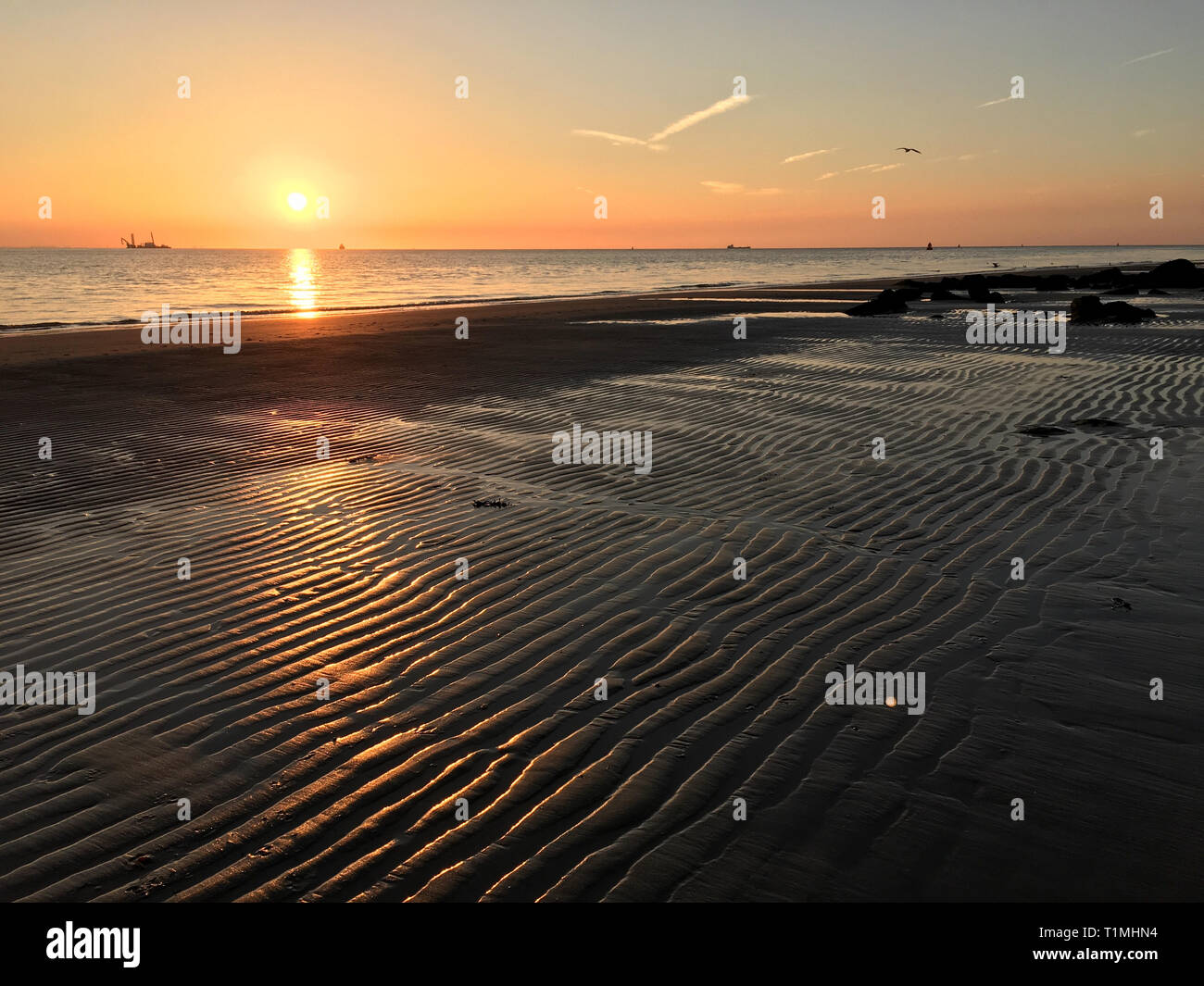 Sunset and the beach, Zeeland, The Netherlands Stock Photo - Alamy