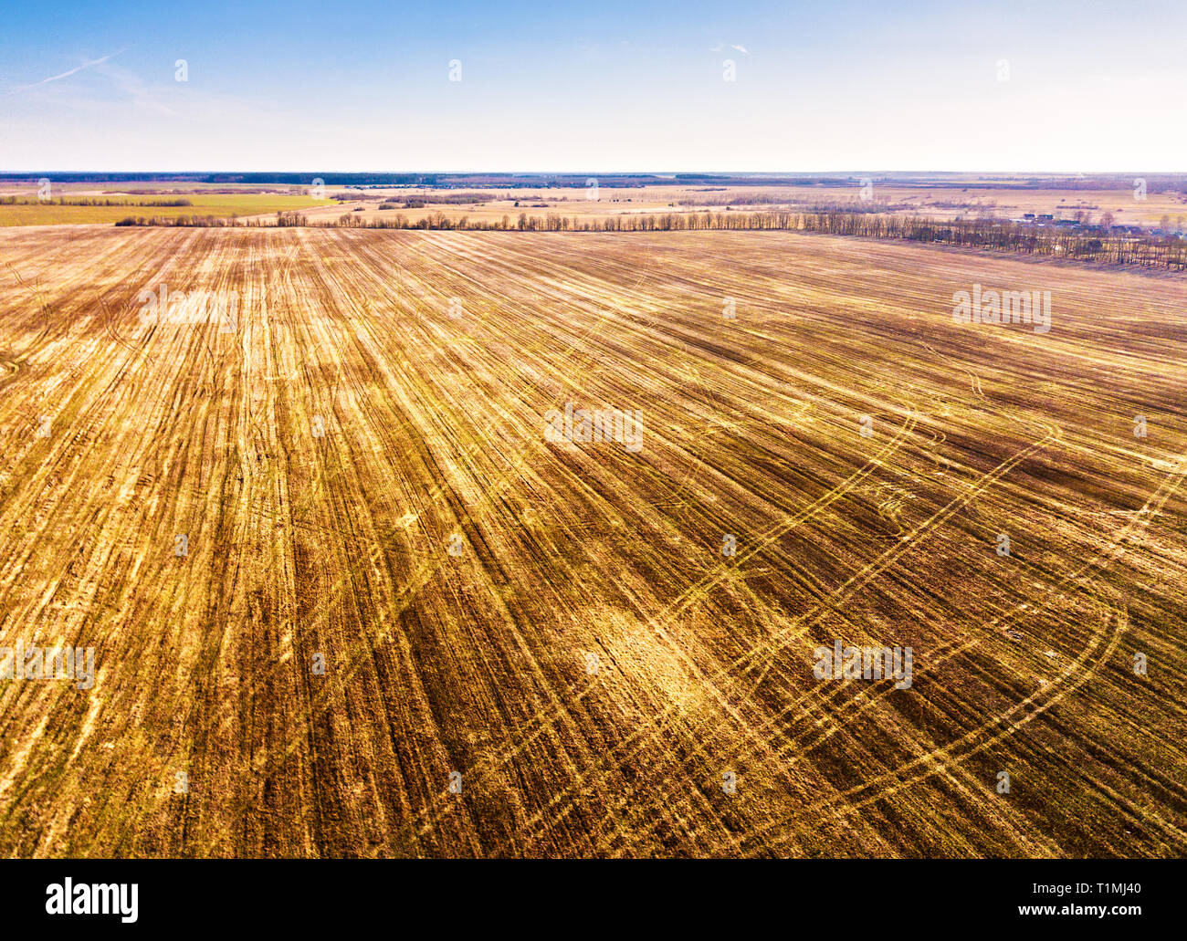 Spring agricultural fields. Dirt rural road and birch alley on ...