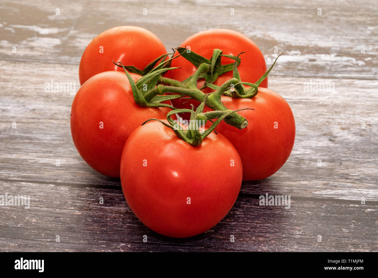 Tomatoes on the vine - plain background Stock Photo - Alamy