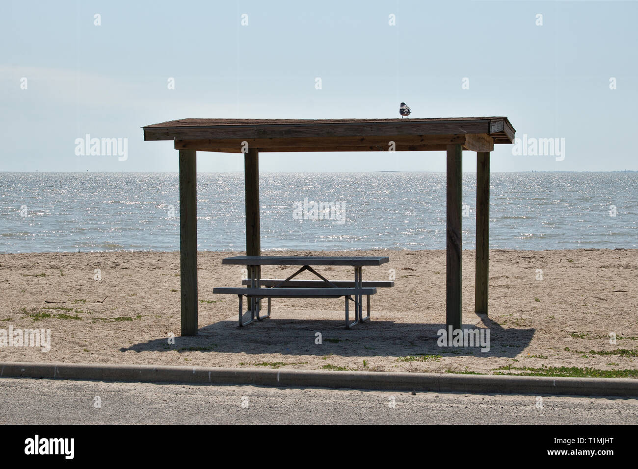 Picnic tables and palm trees on the Texas Gulf of Mexico Coast Stock ...