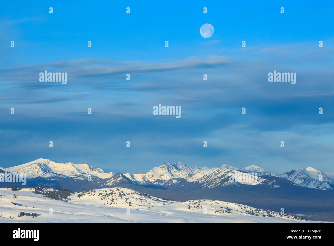 Winter big moon hi-res stock photography and images - Alamy