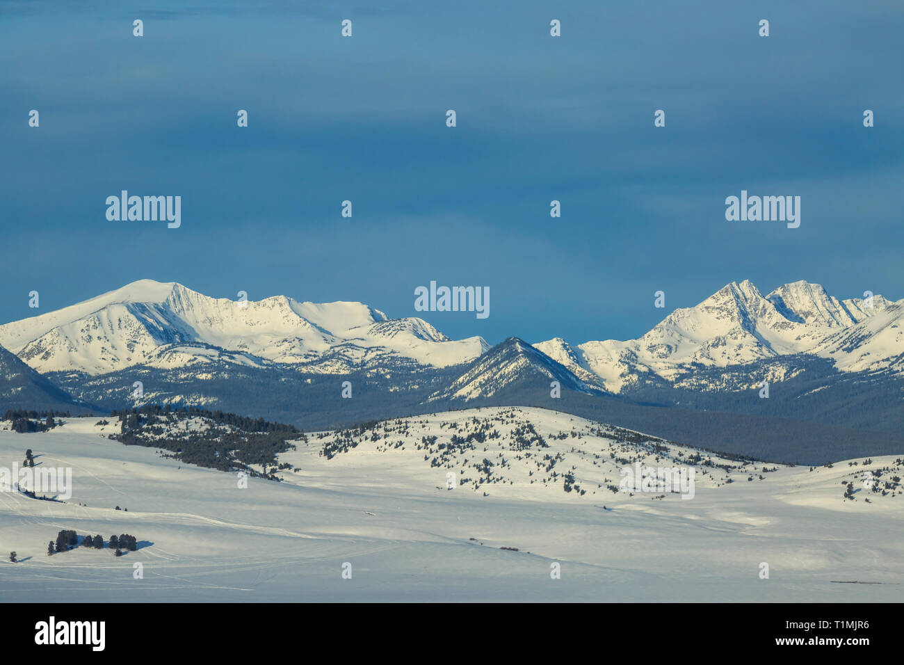 beaverhead mountains in winter near jackson, montana Stock Photo - Alamy