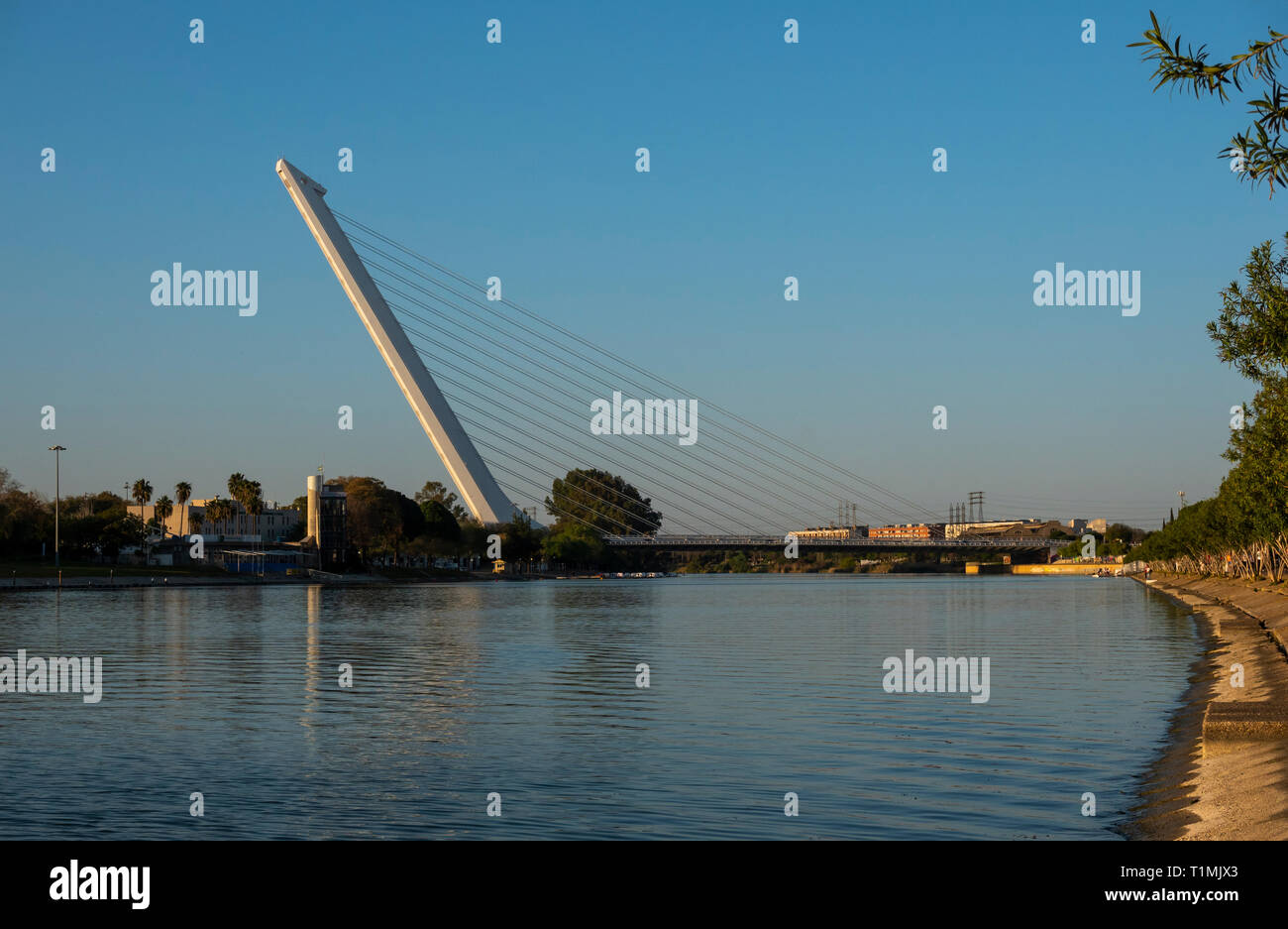 The Alamillo Bridge connects northern Seville with La Cartuja across ...