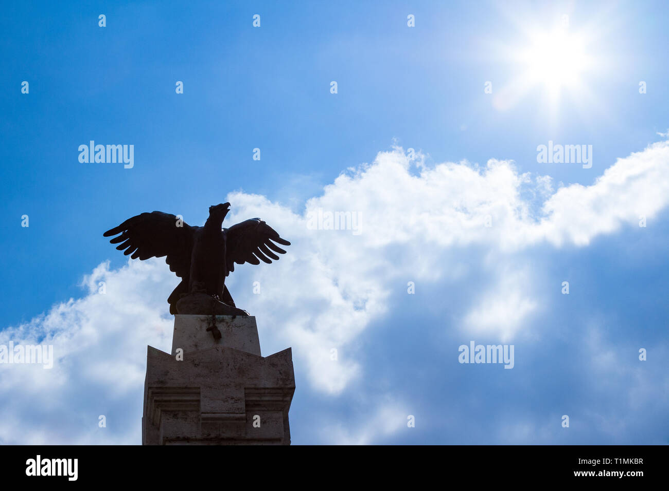 Turul Eagle High Resolution Stock Photography and Images - Alamy