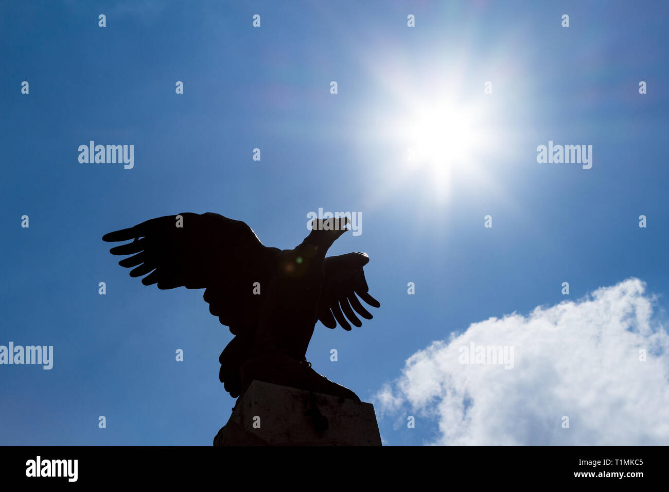 The Turul (eagle-like bird) on top of the Patriots memorial statue in ...