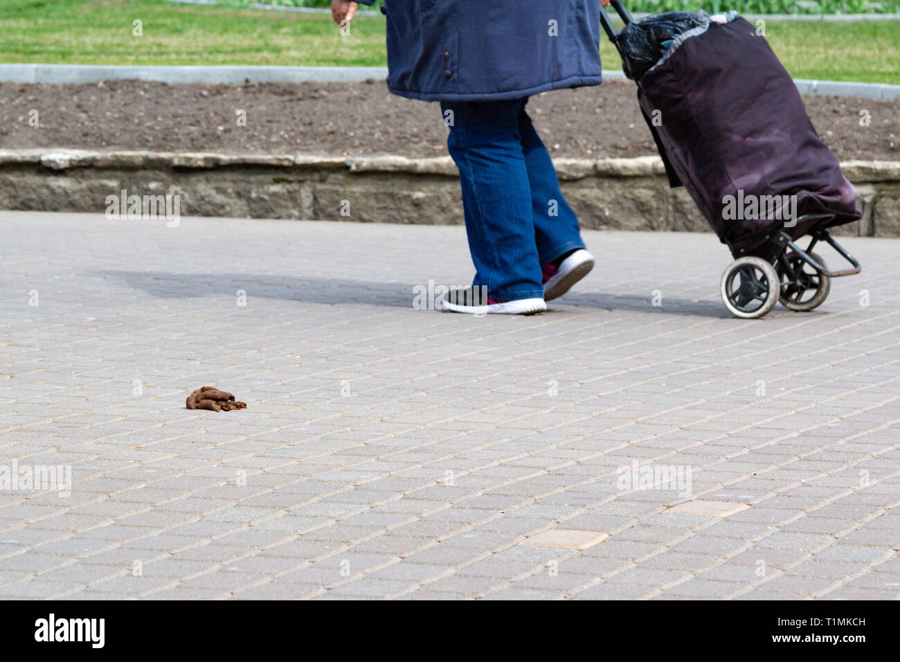 Dog waste in the street, pedestrian walking past Stock Photo - Alamy