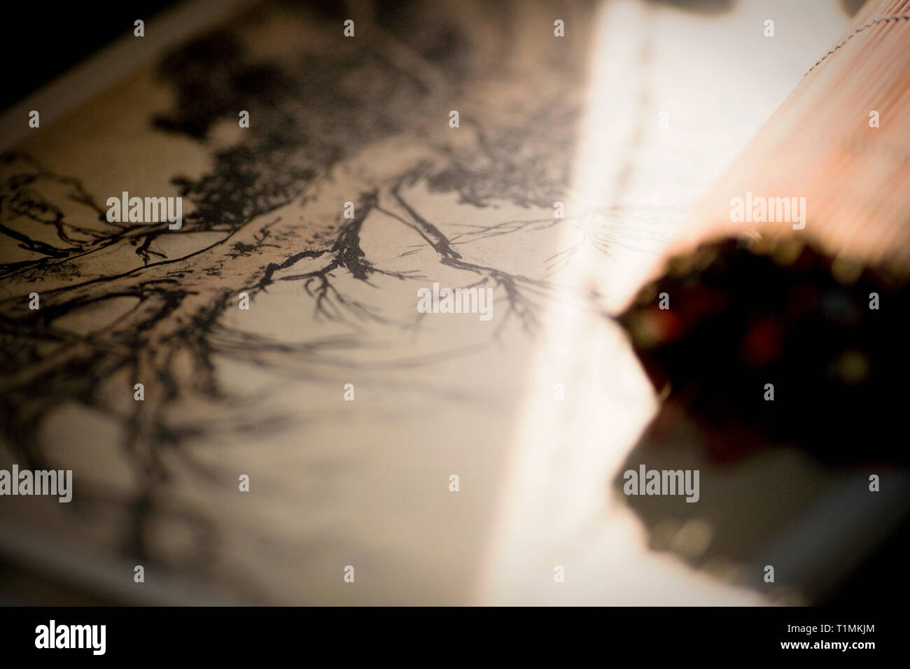 Painting being done on paper Stock Photo - Alamy