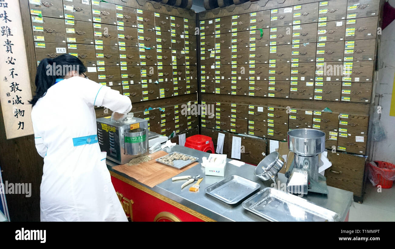 Shenzhen, China: Women pharmacists are processing Chinese medicines for ...