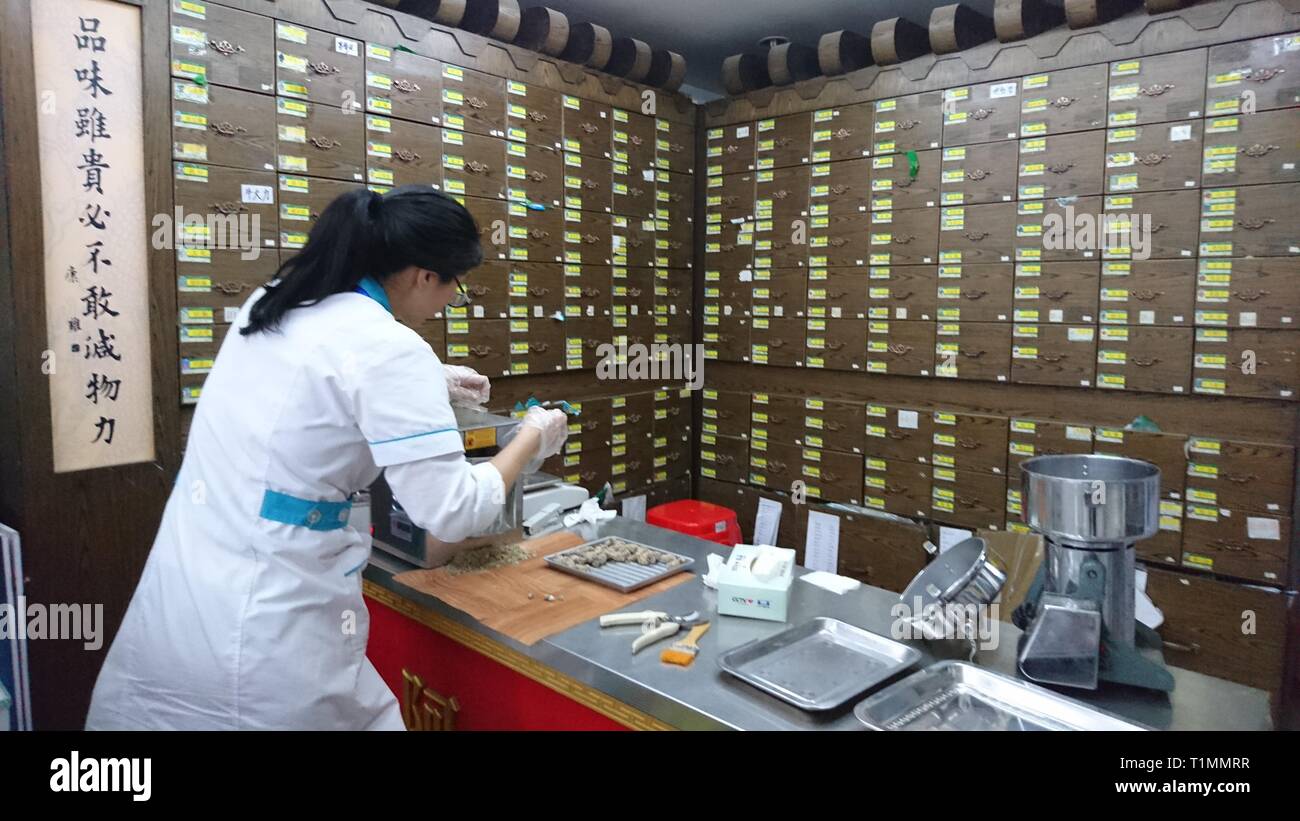 Shenzhen, China: Women pharmacists are processing Chinese medicines for ...