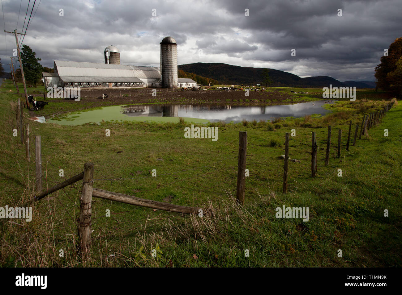 Addison county hi-res stock photography and images - Alamy