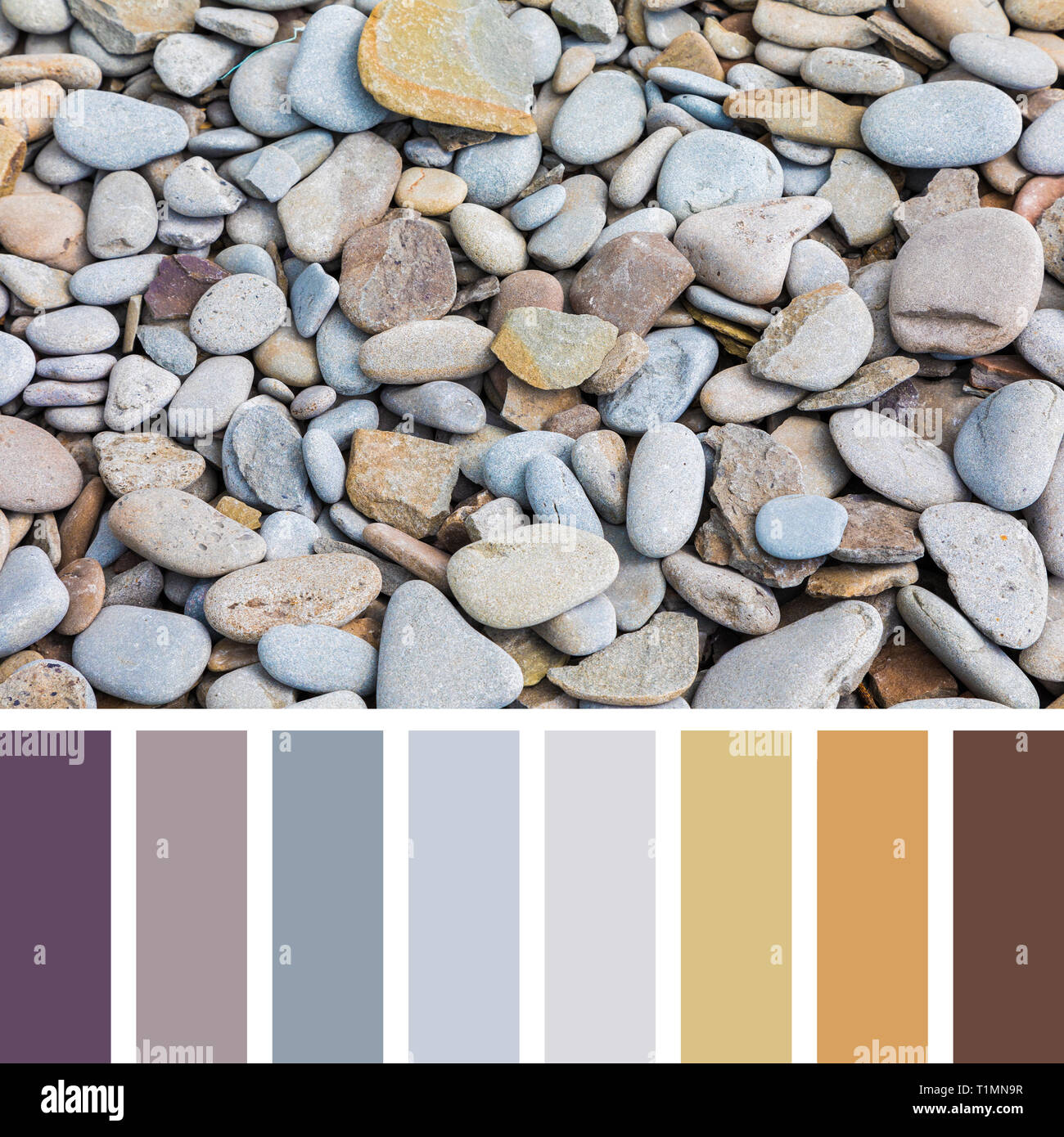 Pebble selection hi-res stock photography and images - Alamy