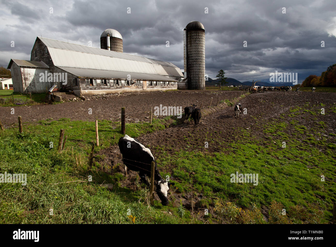 Addison County High Resolution Stock Photography and Images - Alamy