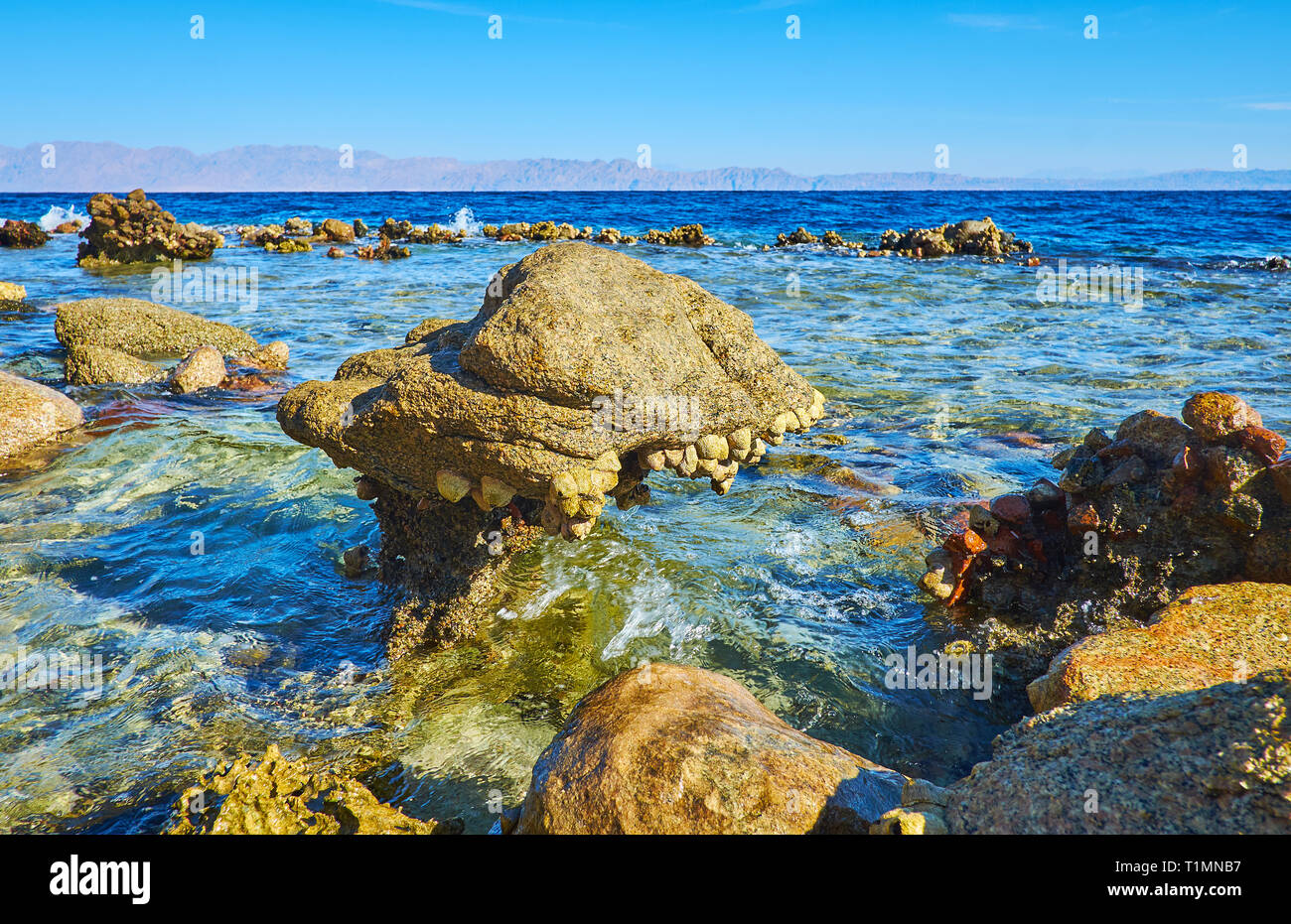 Gulf of aqaba coral hi-res stock photography and images - Alamy