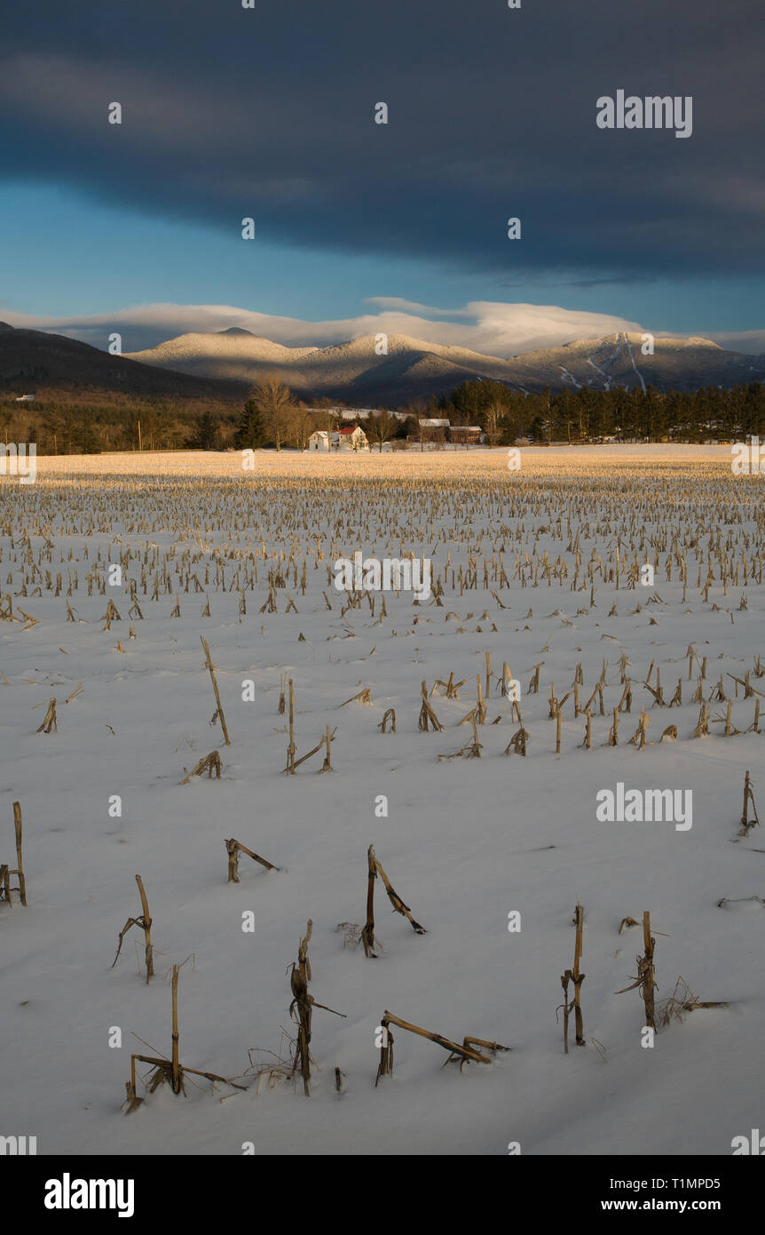 Cambridge vt hi-res stock photography and images - Alamy