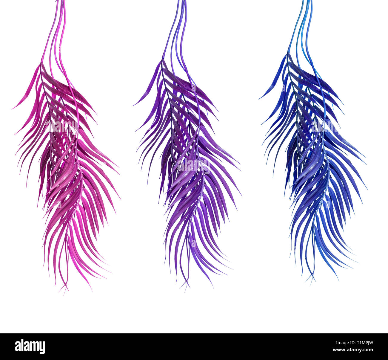 Neon tropical abstract background Cut Out Stock Images & Pictures - Alamy