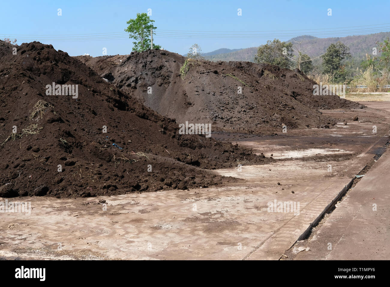 organic compost heap. fertilizer production for soil cultivation in ...