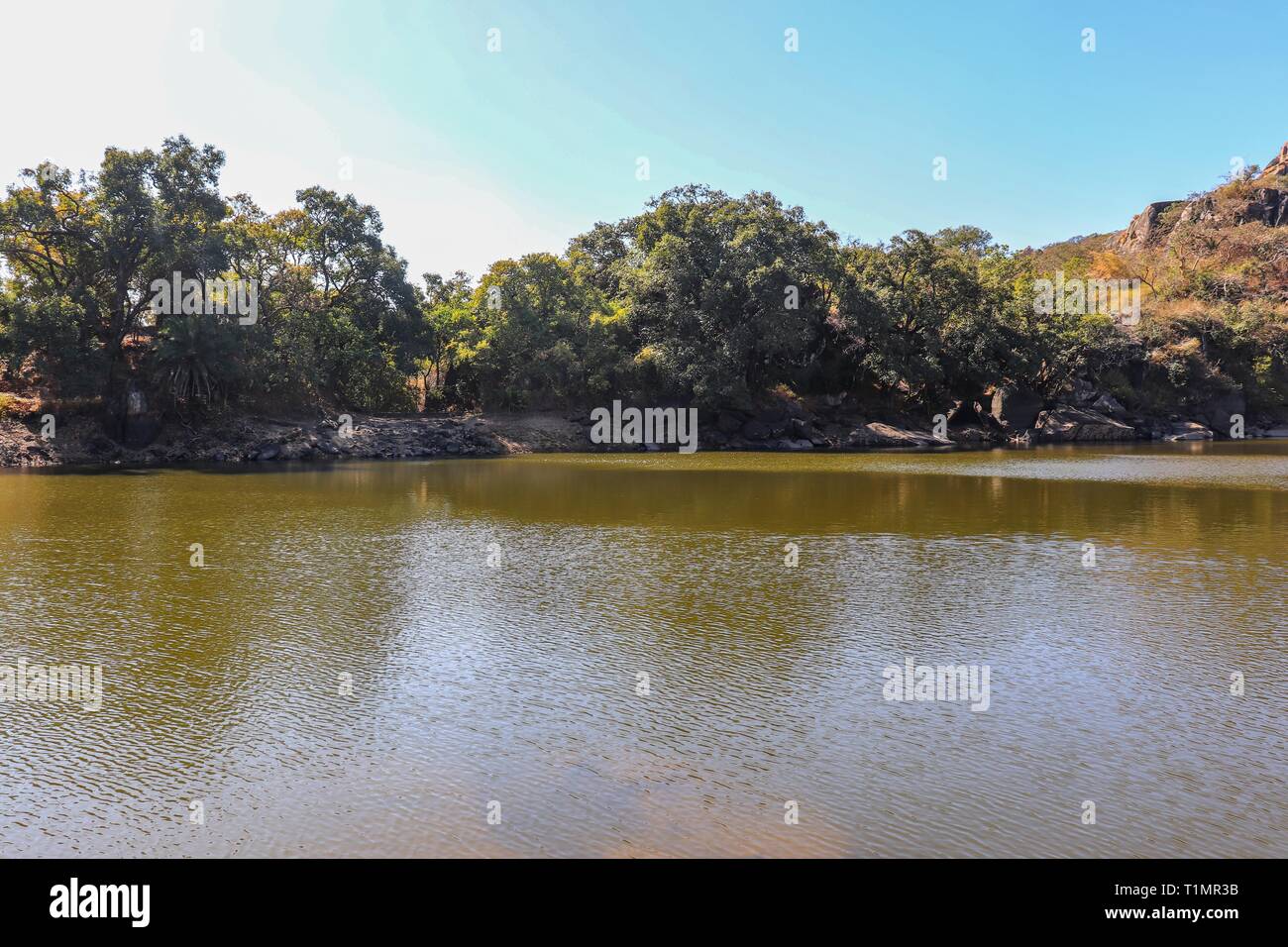 Trevors tank hi-res stock photography and images - Alamy