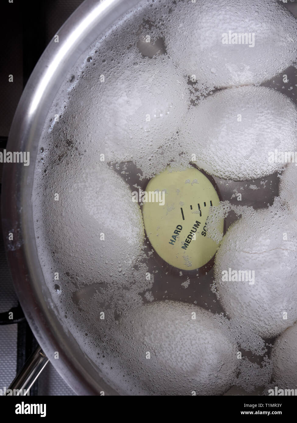 Using an egg timer to make the perfect hard boiled eggs Stock Photo - Alamy