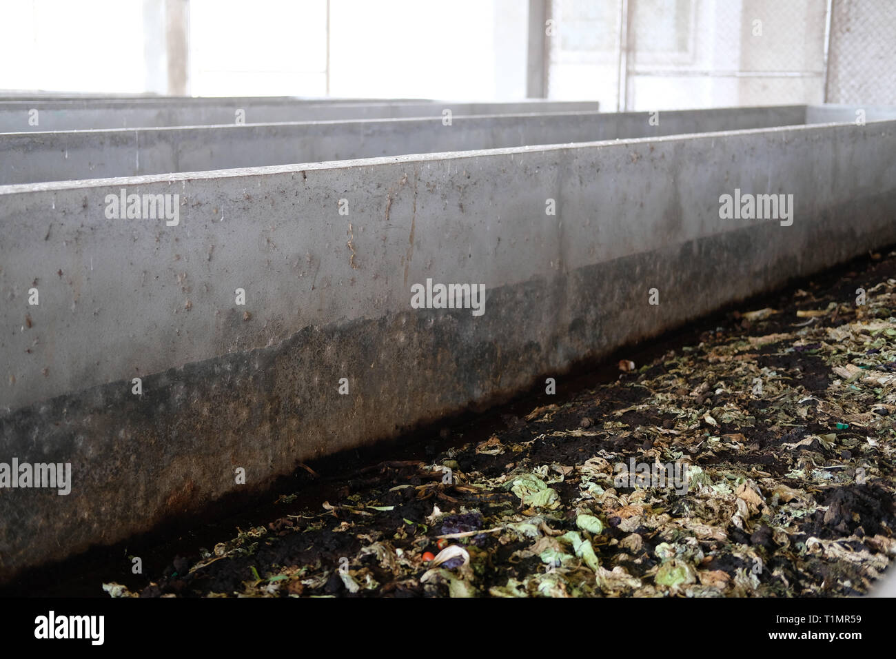 earthworm for producing organic manure compost fertilizer vermicompost ...