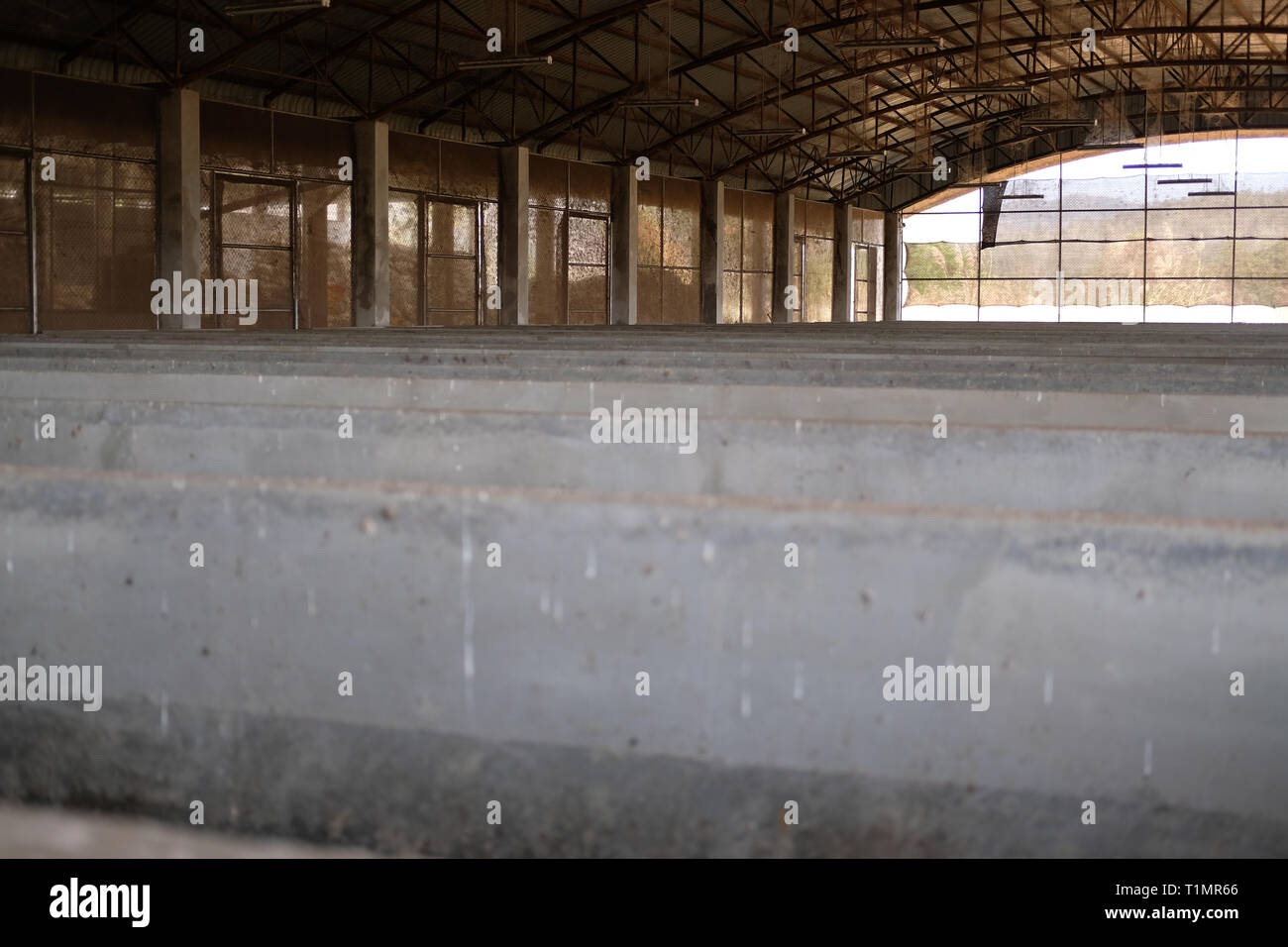 plant for producing vermicompost or manure compost from earthworm Stock ...