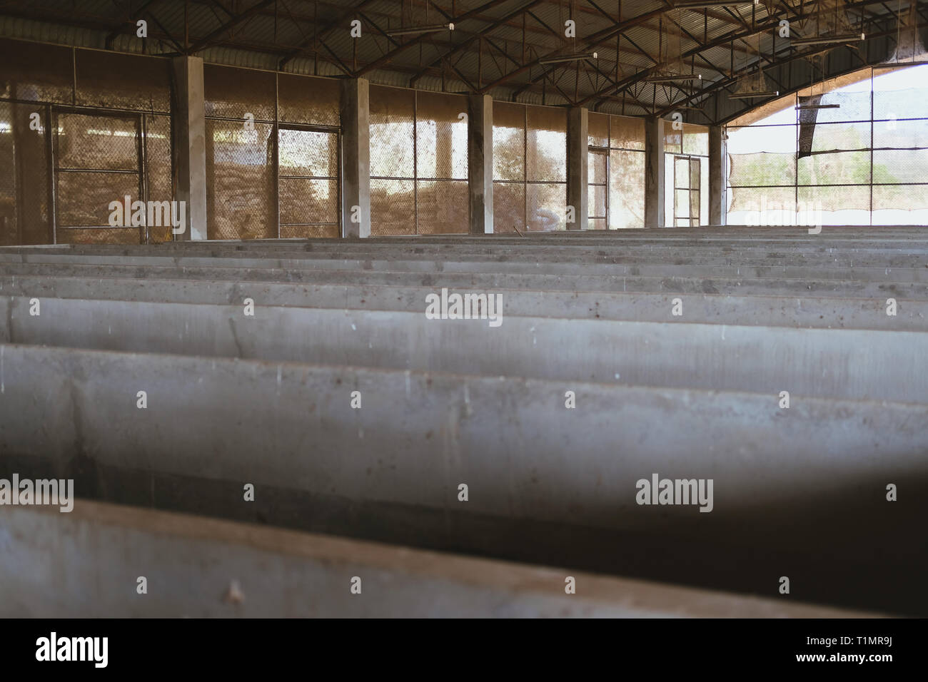 plant for producing vermicompost or manure compost from earthworm Stock ...