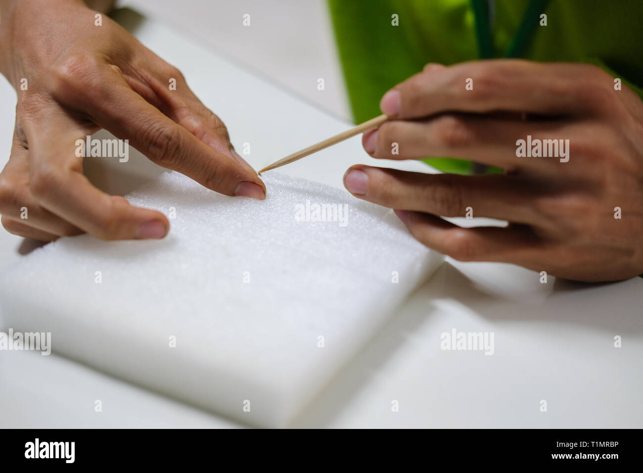 hand holding stick for putting seed on sponge. hydroponic vegetable ...