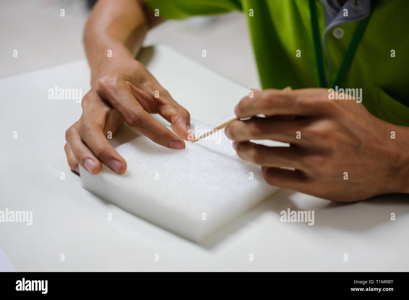 hand holding stick for putting seed on sponge. hydroponic vegetable ...