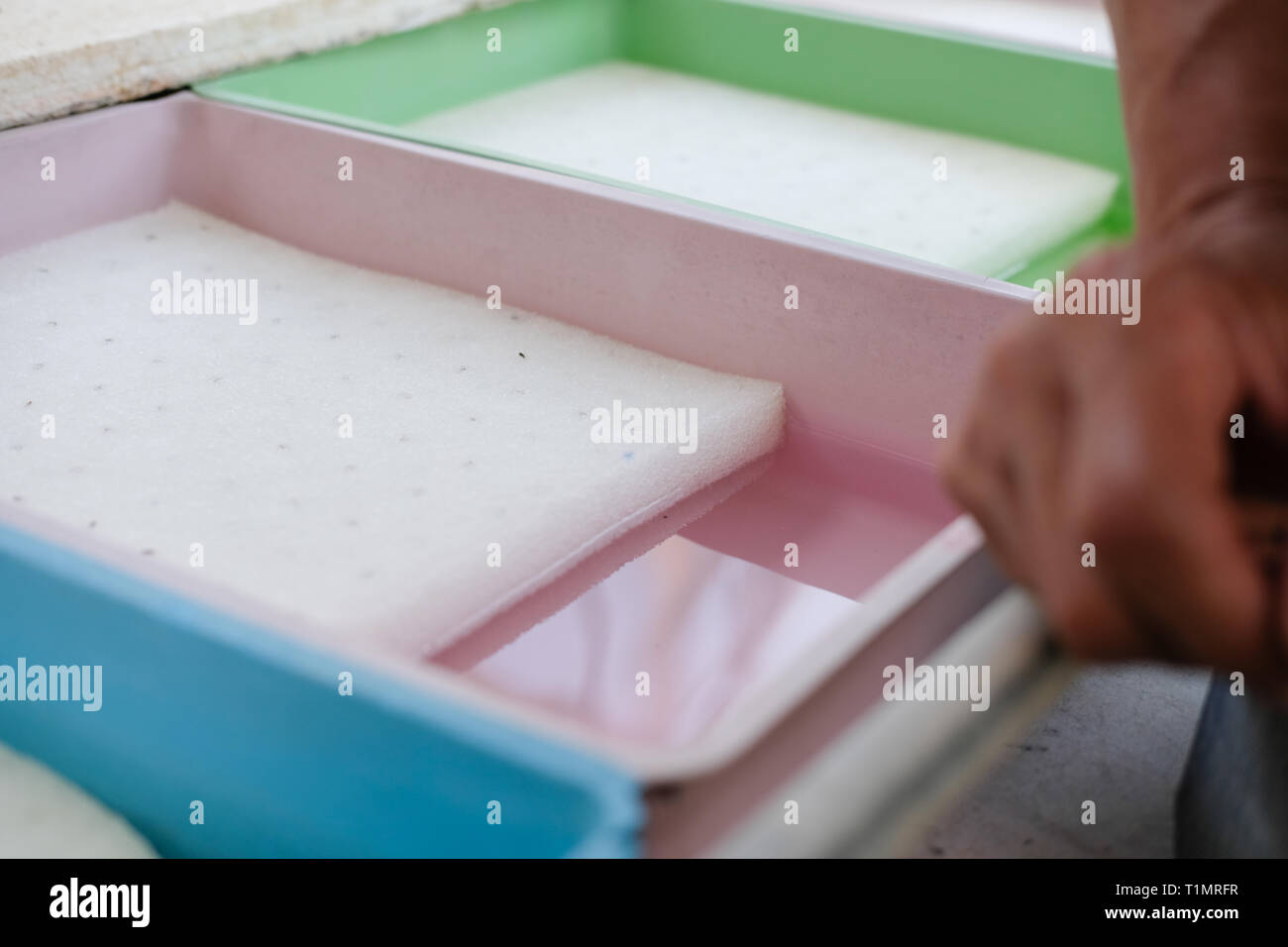 seed on wet sponge. hydroponic vegetable seedling Stock Photo - Alamy