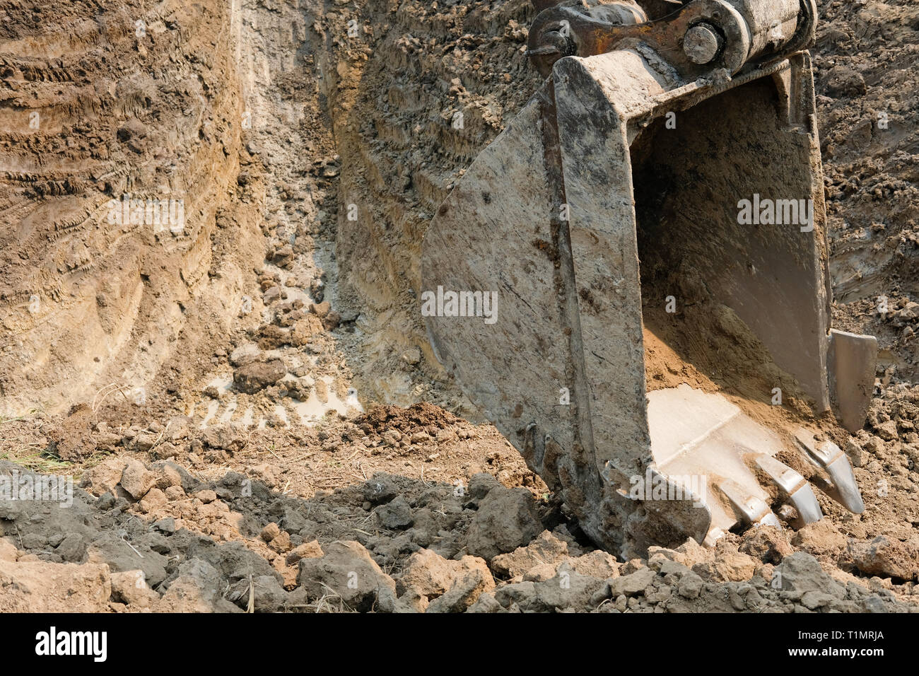excavator digging making pond. earthmoving work in farmland Stock Photo ...