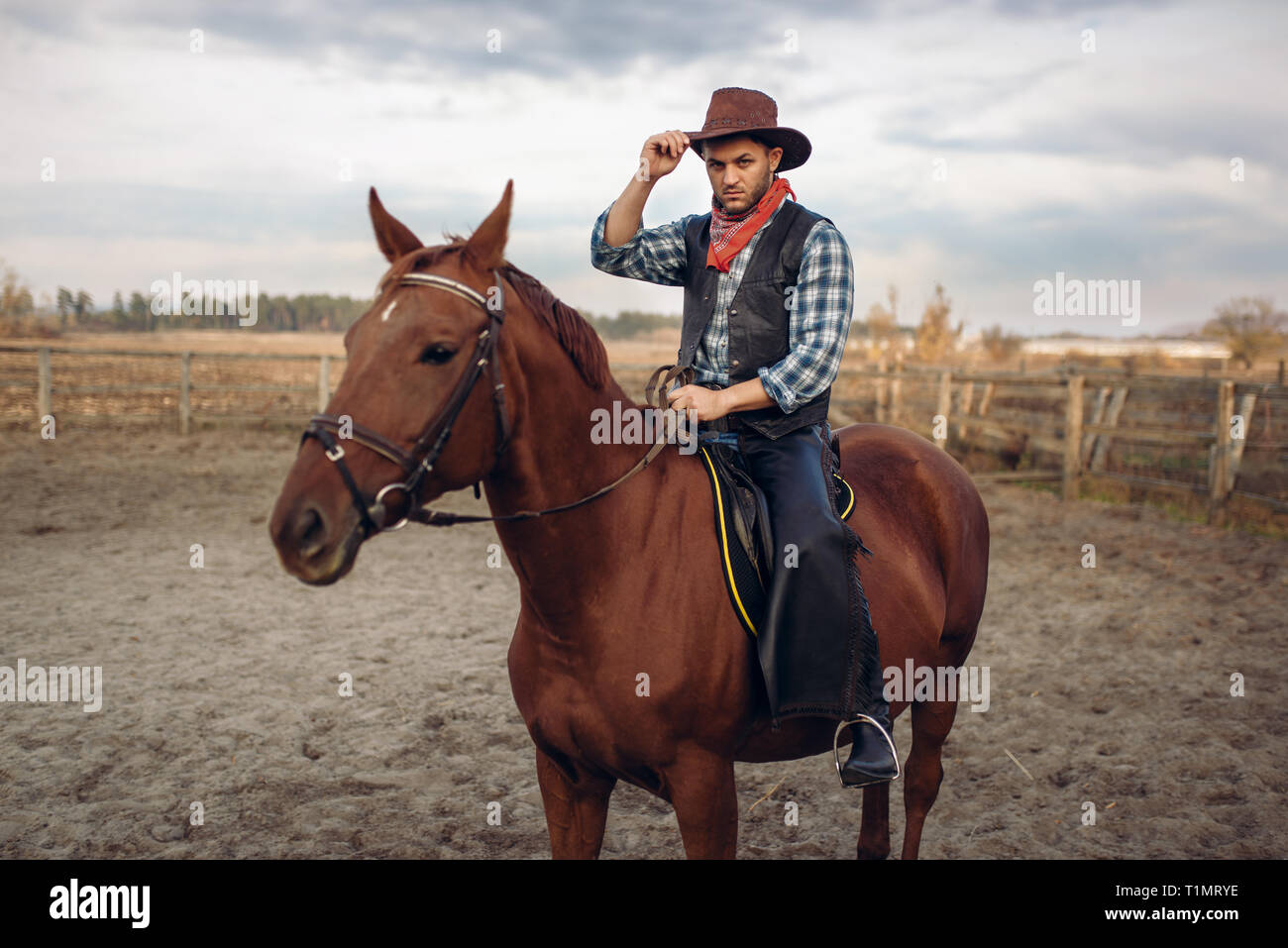 Western lifestyle horse hi-res stock photography and images - Alamy