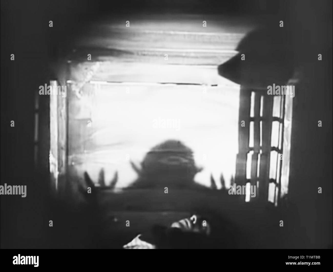 Nosferatu 1922 movie starring Max Schreck directed by F.W. Murnau Stock ...