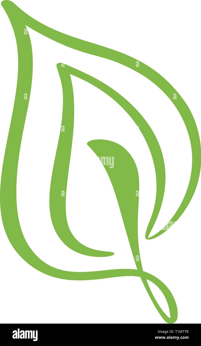 Logo of green leaf of tea. Ecology nature element vector icon floral ...