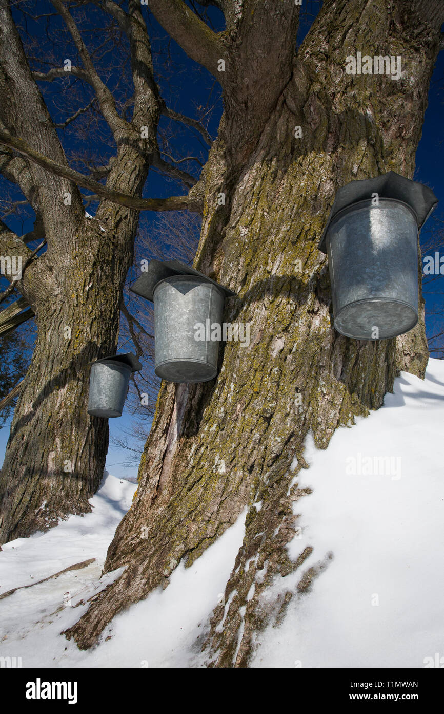 Albany vt hi-res stock photography and images - Alamy