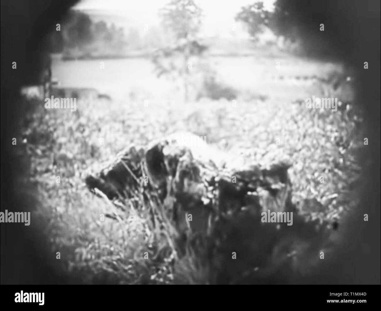 Nosferatu 1922 vintage movie screen Stock Photo - Alamy