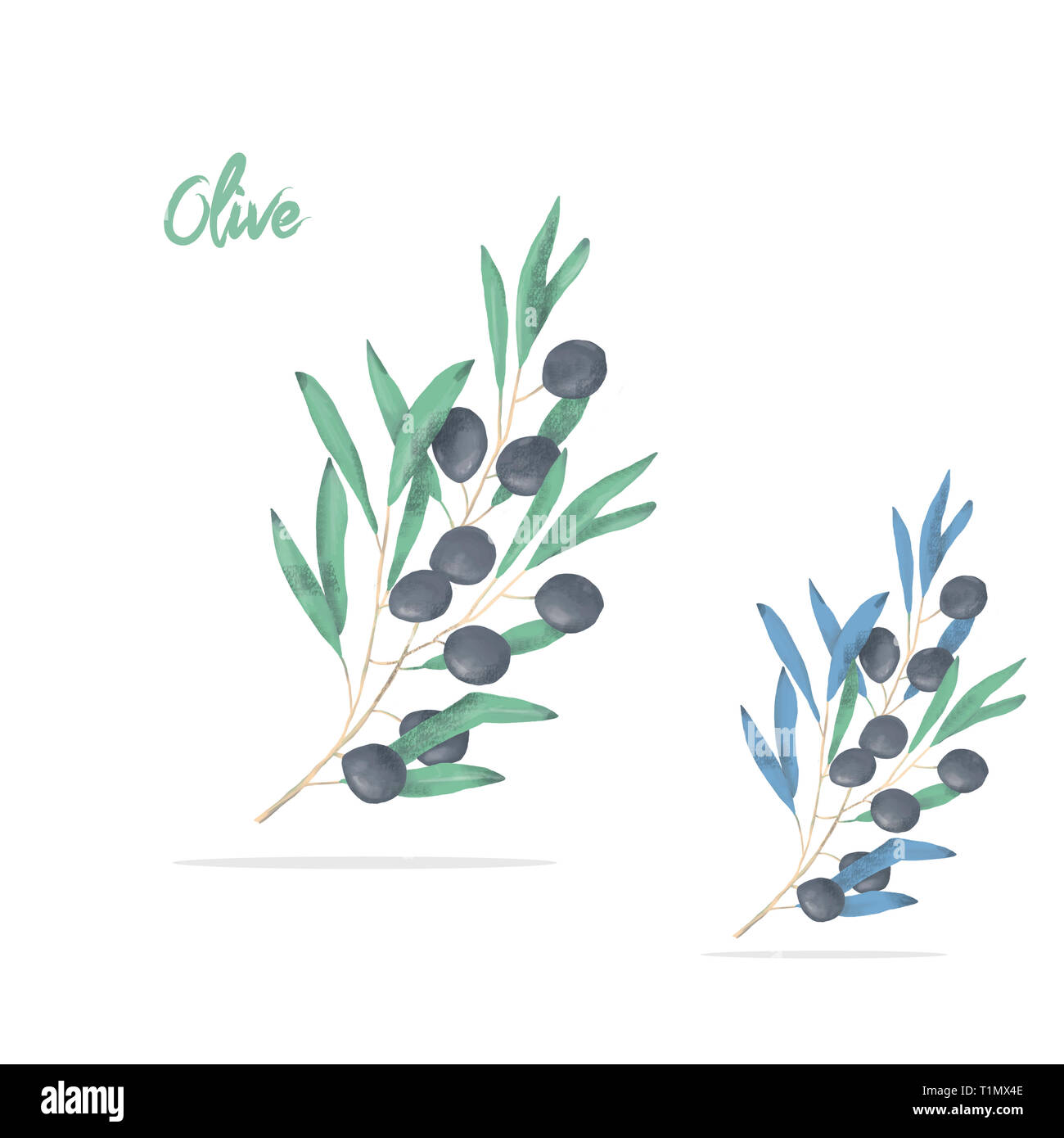 Olive digital clip art watercolor drawing flowers illustration similar ...