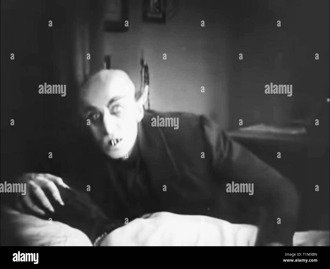 Nosferatu 1922 vintage movie screen Stock Photo - Alamy