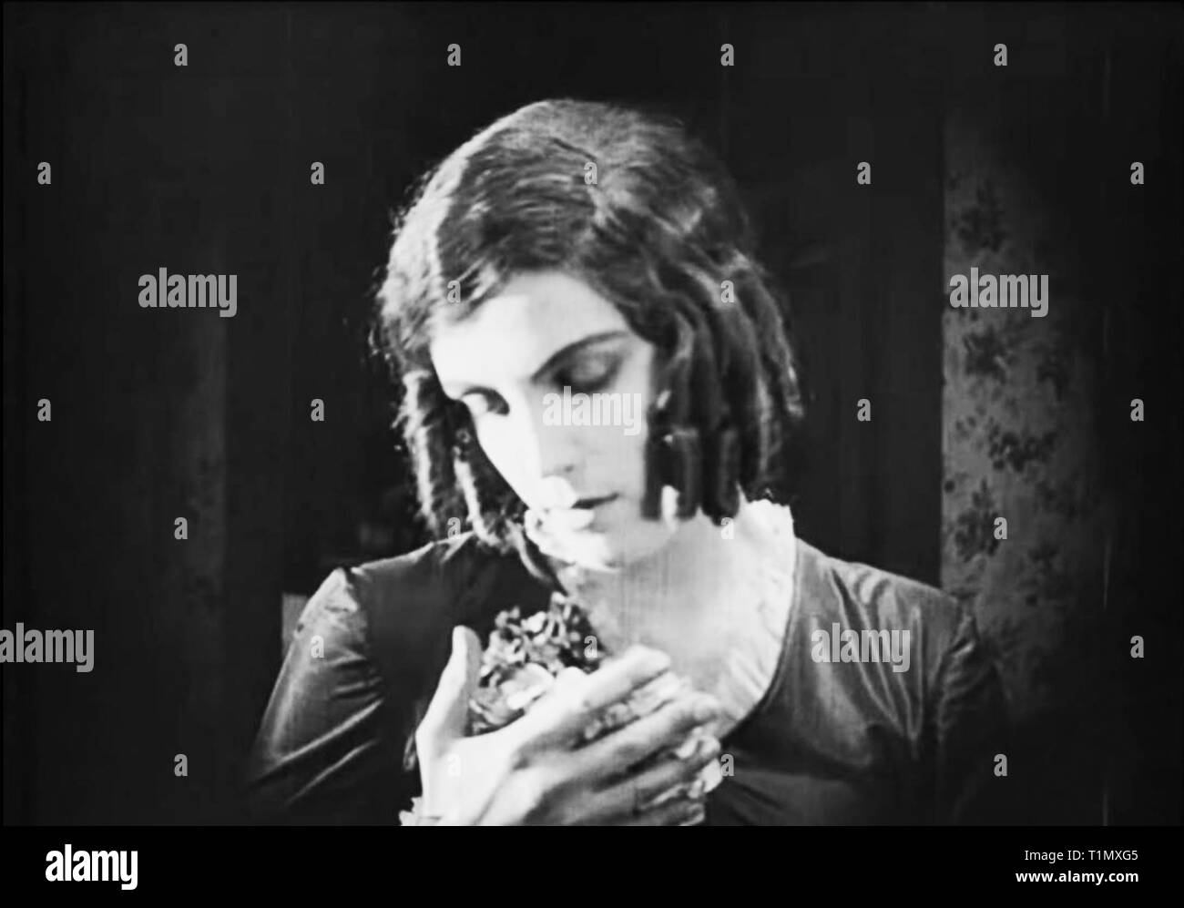 Nosferatu 1922 High Resolution Stock Photography and Images - Alamy