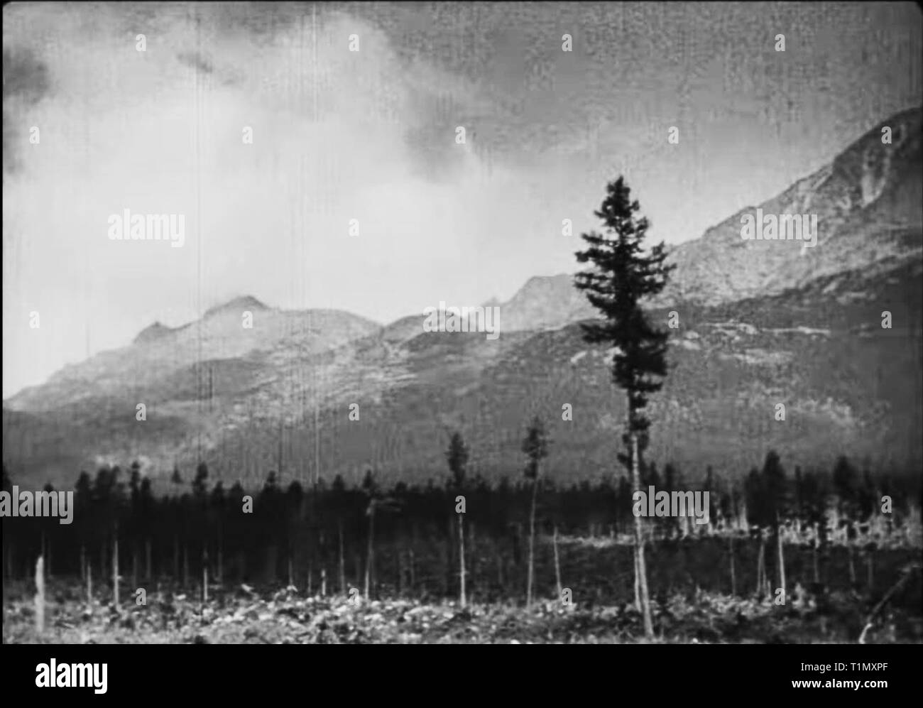 Nosferatu 1922 vintage movie screen Stock Photo - Alamy