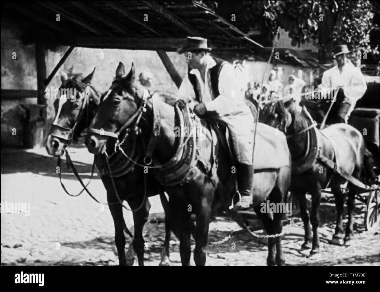 Nosferatu 1922 vintage movie screen Stock Photo - Alamy