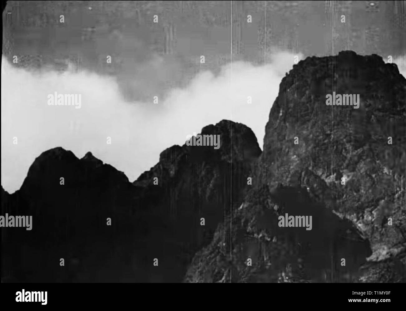 Nosferatu 1922 vintage movie screen Stock Photo - Alamy