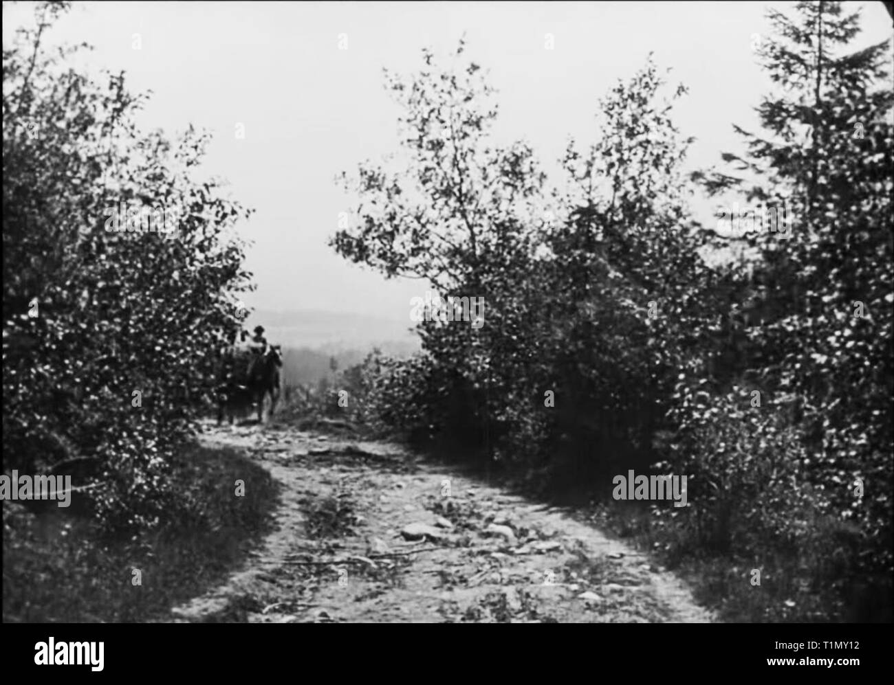 Nosferatu 1922 vintage movie screen Stock Photo - Alamy