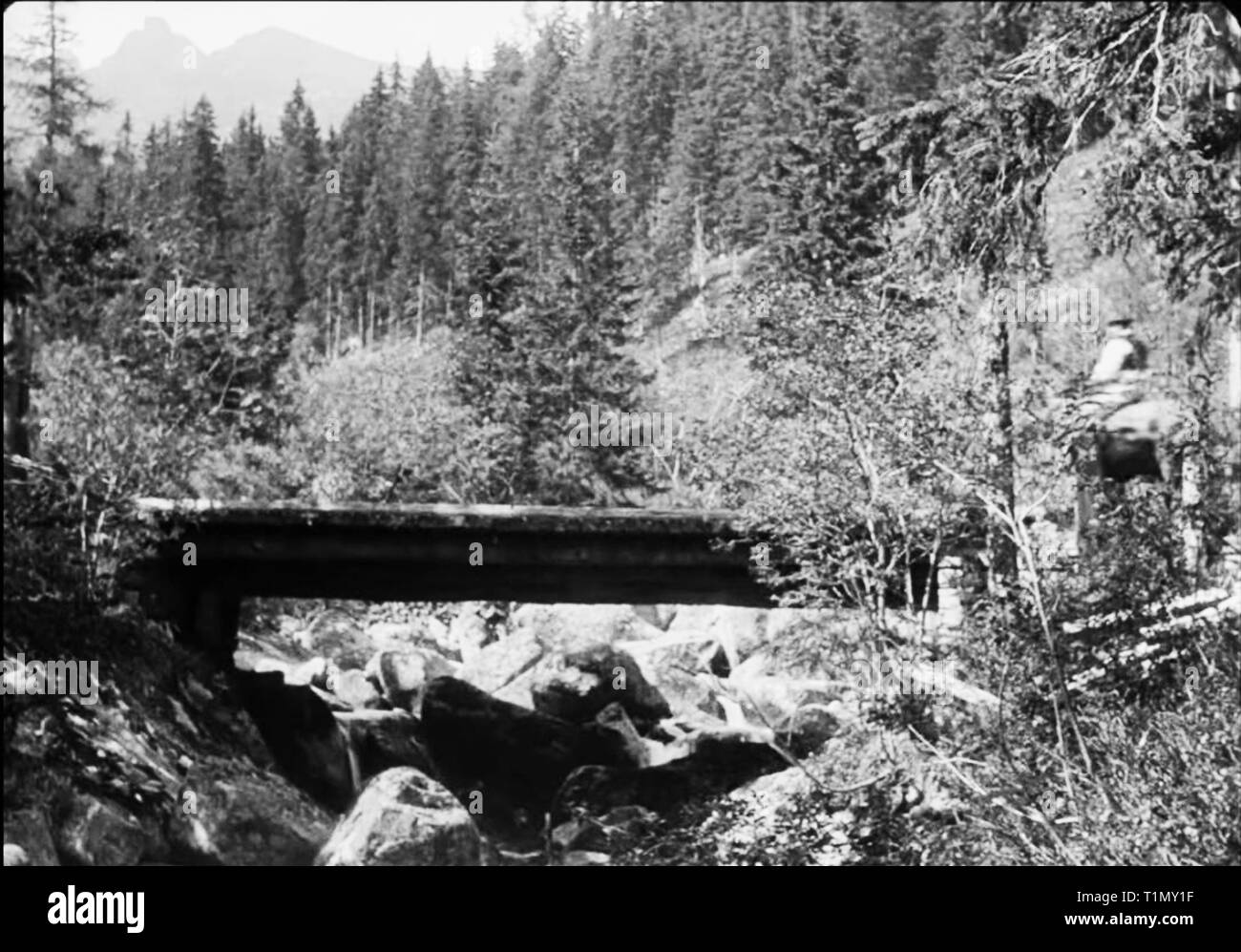 Nosferatu 1922 vintage movie screen Stock Photo - Alamy